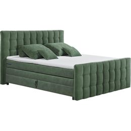 Boxspringbett ED EXCITING DESIGN "Mendoza", grün (oliv), B:203cm L:222cm, 95% Polyester, 5% Polyamide, Komplettbetten, inkl. Bettkasten, erhältlich in den Breiten 160cm & 180cm