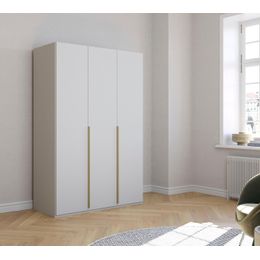 Drehtürenschrank Rauch "Skat Glamour" Schränke Gr. B/H/T: 151cm x 223cm x 63cm, 3 St., grau (seidengrau) goldene Griffstange und umfangreiche Innenausstattung