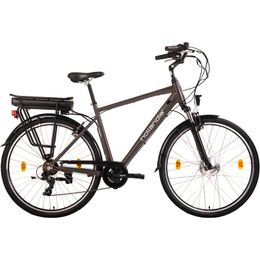 E-Bike HOLLANDIA "Zagon" E-Bikes Gr. 53 cm, 28 Zoll (71,12 cm), grau (anthrazit) Pedelec, Elektrofahrrad für Damen u. Herren, Cityrad