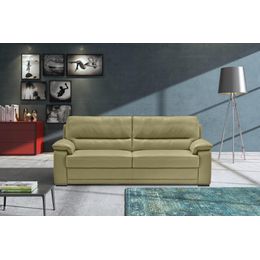 2,5-Sitzer Egoitaliano "Doris, modernes Designersofa, Ledersofa mit erstklassiger Sitzqualit&auml;t", gr&uuml;n (pistazie), B:192cm H:90cm T:93cm, Leder &raquo;BULL&laquo; (echtes Rindsleder). Geschliffenes, pigmentiertes und behandeltes Rindsleder mit einer Dicke von 1, 3-1, 5 mm. Dieses Leder zeigt eine ziemlich weiche Hand mit einem halb undurchsichtigen Aussehen. Es handelt sich um ein gesch&uuml;tztes Leder. Eine leich