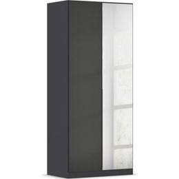 Drehtürenschrank Rauch "Kleiderschrank Schrank Garderobe AGORDO mit Dekor- oder Hochglanzfront" Schränke Gr. B/H/T: 91 cm x 210 cm x 54 cm, 2 St., grau (graumetallic, effektgrau hochglanz) durchdachte Innenausstattung, in 6 Breiten und 2 Höhen MADE IN GERMANY