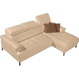 Ecksofa Egoitaliano "Soul, Design und Sitzkomfort auf hohem Niveau, tolle Details, L-Form", beige (champagner), B:250cm H:99cm T:166cm, Leder &raquo;BULL&laquo; (echtes Rindsleder). Geschliffenes, pigmentiertes und behandeltes Rindsleder mit einer Dicke von 1, 3-1, 5 mm. Dieses Leder zeigt eine ziemlich weiche Hand mit einem halb undurchsichtigen Aussehen. Es handelt sich um ein gesch&uuml;tztes Leder. Eine leicht