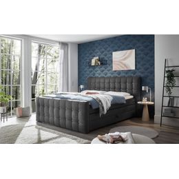 Boxspringbett ED EXCITING DESIGN "Loberie", grau (anthrazit), B:203cm L:222cm, 95% Polyester, 5% Polyamide, Komplettbetten, mit Strasssteinen im Kopf- und Fußteil, inkl. Bettkasten