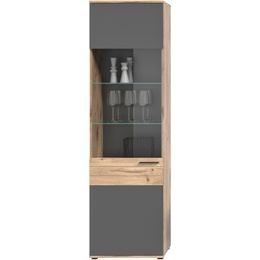 Vitrine Inosign "Riga" Schränke Gr. B/H/T: 57 cm x 200 cm x 37 cm, braun (nox oak nb, basalt grau nb) Höhe 200 cm