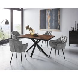 Essgruppe Hela "CLEO Tischgruppe Bestseller" Sitzmöbel-Sets Gr. Samtvelours, braun (oldwood, vintage grau, schwarz) Schalenstühle Tisch Wohnzimmer Esszimmer