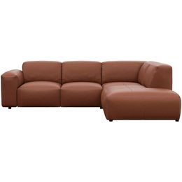 Ecksofa FLEXLUX "Lucera, super Sitzkomfort durch Kaltschaum im Sitz, L-Form", braun (old chestnut braun), B:256cm H:73cm T:231cm, 100% Echteder, Sofas, Ecksofa, modern & anschmiegsam, Designsofa, modernes skandinavisches Design