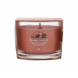 yankee candle Duftkerze Tropical Breeze 37 g