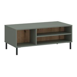 Lomadox Couchtisch PARMA-129, in grau-grün, kombiniert mit Eiche Nb., 100 cm breit