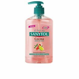 Sanytol Handseife Küchenhandseife 250ml