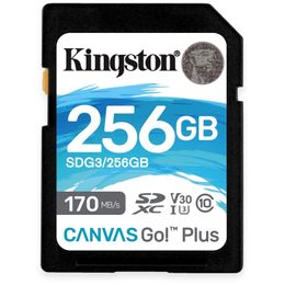 Kingston SD-Card Canvas GO!, 256 GB