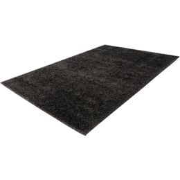 Hochflor-Teppich Obsession, B:60cm H:26mm L:110cm, grau, Polyester, Teppiche, "My Emilia 250", sehr weicher Flor, ideal im Wohnzimmer & Schlafzimmer
