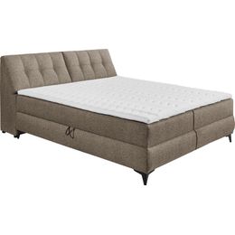 Boxbett, B:165cm L:240cm, braun, ED EXCITING DESIGN, 100% Polyester, Komplettbetten, "Atlantis", mit Bettkasten und Stauraum im Kopfteil