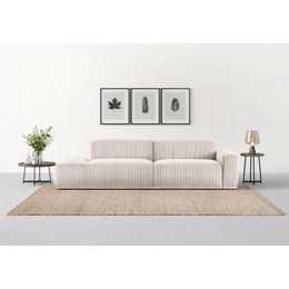 Big-Sofa Trendmanufaktur, B:277cm H:72cm T:107cm, beige, 88% Polyester, 12% Polyacrl, Sofas, "Braga, mit hochwertigem Kaltschaum, Megasofa, in Cord