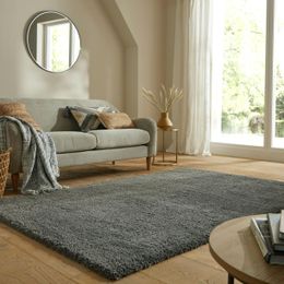Hochflor-Teppich FLAIR RUGS, B:120cm H:40mm L:170cm, grau, Kunstfaser, Teppiche, "Feather"