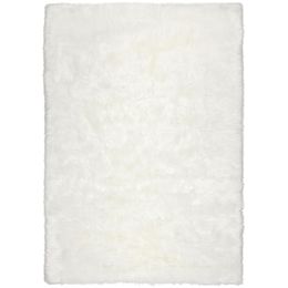 Hochflor-Teppich FLAIR RUGS, B:180cm H:6mm L:290cm, beige, Kunstfaser, Teppiche, "Sheepskin", weich, Kunstfell, Fellteppich