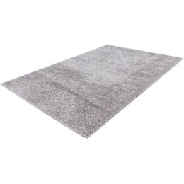 Hochflor-Teppich Obsession, B:60cm H:26mm L:110cm, silber, Polyester, Teppiche, "My Emilia 250", sehr weicher Flor, ideal im Wohnzimmer & Schlafzimmer