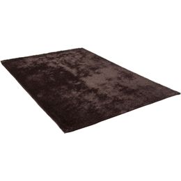Hochflor-Teppich Gino Falcone, B:80cm H:25mm L:150cm, braun, Kunstfaser, Teppiche, "Alessandro", besonders weich durch Microfaser, ideal im