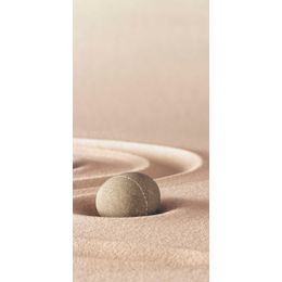Duschr&uuml;ckwand Sanotechnik, B:100cm H:205cm, beige, Aluminium, Spritzschutzw&auml;nde, "Sanowall", H&ouml;he: 205 cm