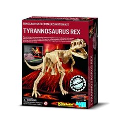 4M Kidz Labs/Dig a T-Rex skeleton