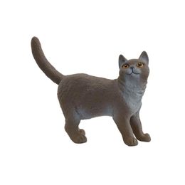 Schleich British Shorthair Cat