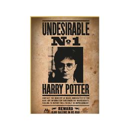 Thumbs Up! Harry Potter "Wanted No. 1" Puzzle