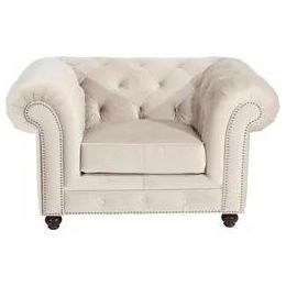 Chesterfield-Sessel Max Winzer "Old England, Loungesessel, modern, Retro und elegant, bequemer Sessel" Sessel Gr. Samtvelours 20442, B/H/T: 131cm x 76cm x 96cm, beige (creme) mit edler Knopfheftung