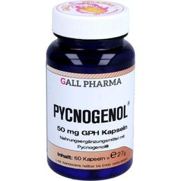 Hecht-Pharma Pycnogenol 50 mg Gph Kapseln 60 St