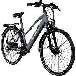 Zündapp Zündapp Z810 E Bike Trekkingrad Damen ab 155 cm mit 24 Gängen und Beleuchtung StVZO