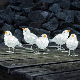 Niedliche Außen-Deko LED Vogelquintett