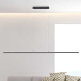 pure LED-Hängeleuchte Lite, anthrazit, 160 cm, CCT, dimmbar