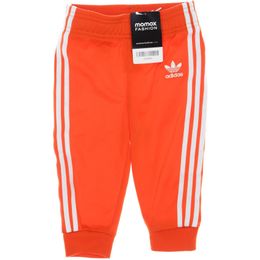 adidas originals Herren Stoffhose, rot, Gr. 80