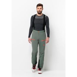 Skihose Jack Wolfskin "ALPSPITZE PANTS M" Gr. 46, Normalgrößen, grün (hedge, green) Herren Hosen