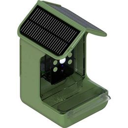 Braun Photo Technik Braun Phototechnik Bird Cam 130 Solar Wildkamera mit Futterspender Grün