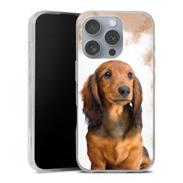 DeinDesign iPhone 16 Pro Handy Silikon H&uuml;lle Case transparent Handyh&uuml;lle Pet Dachshund Dog Silikon Case