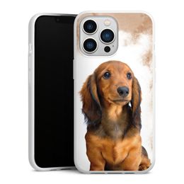 DeinDesign iPhone 13 Pro Handy Silikon H&uuml;lle Case wei&szlig; Handyh&uuml;lle Pet Dachshund Dog Silikon Case