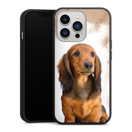 DeinDesign iPhone 13 Pro Handy Premium Silikon H&uuml;lle Handyh&uuml;lle schwarz Case Pet Dachshund Dog Silikon Premium Case