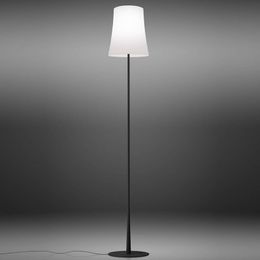 Foscarini Birdie Easy Stehleuchte schwarz