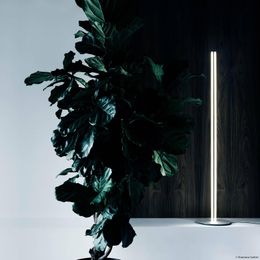 Flos Coordinates Floor LED-Stehlampe, argent moon