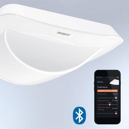 Steinel Hallway COM1 AP Präsenzmelder, Bluetooth