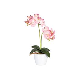 Gasper Kunstpflanze, Rosa, Gr. H/B/T ca. 50/15/15 cm, Kunstpflanzen & Garten, Material: Kunststoff