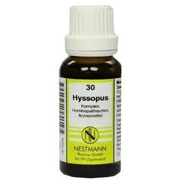 Nestmann Hyssopus Komplex Nr.30 Dilution 20 ml