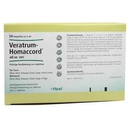 Heel Veratrum Homaccord ad us.vet.Ampullen 50 St