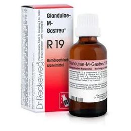 Glandulae-M-Gastreu R19 22 ml