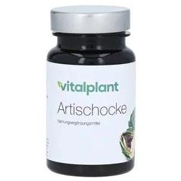 Artischocke 500 mg Extrakt Vitalplant Ka 60 St