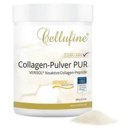 Cellufine® VERISOL® B (Rind) Collagen-Pulver PUR - Dose 300 g