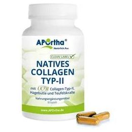 APOrtha® Natives UC-II® Collagen TYP-II + Hagebutte und Teufelskralle - Kapseln 60 St