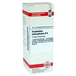 DHU-Arzneimittel Gnaphalium Polycephalum D 6 Dilution 20 ml