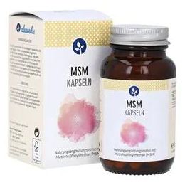 MSM 500 mg Kapseln 60 St