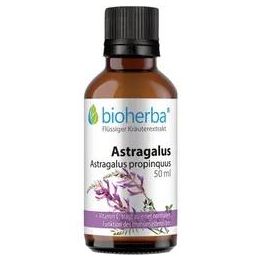 Astragalus 50 ml