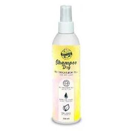 Bellfor Hundeshampoo Dry - bei trockenem Fell 250ml 250 ml